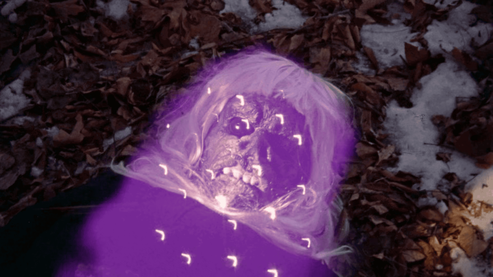 The Alien Factor (1978) movie review | sbs.is