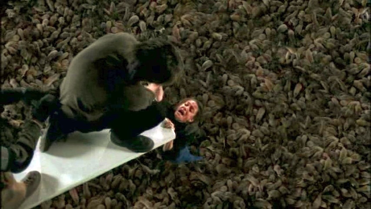 The Rats (2002) movie review | sbs.is